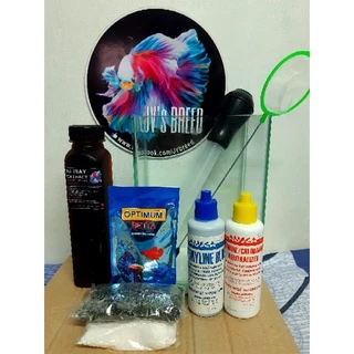 betta fish - Best Prices and Online Promos - Jun 2025 | Shopee Philippines