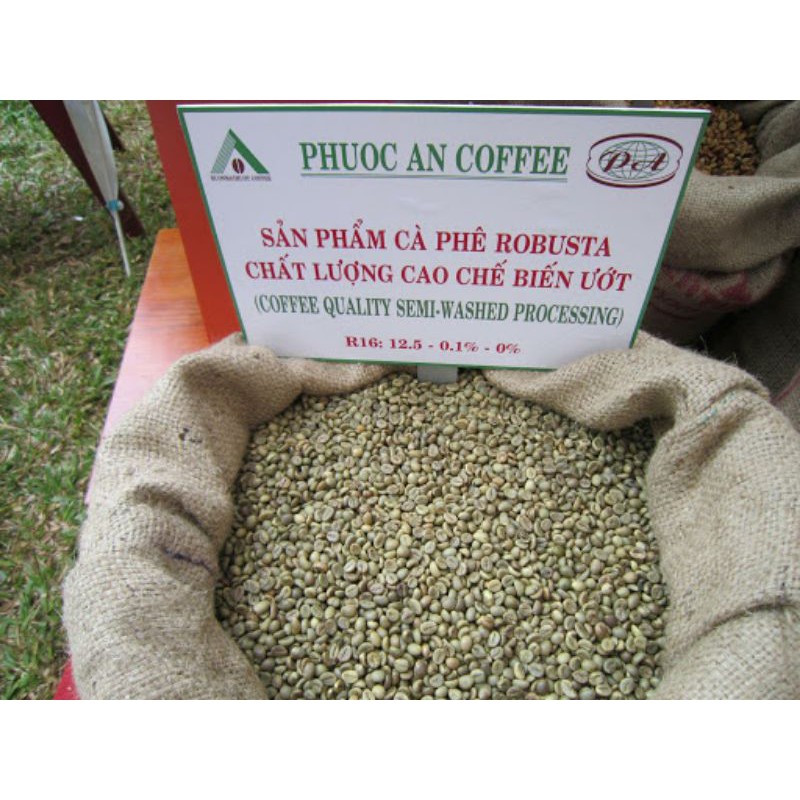 500g robusta honey green coffee (unroasted beans) | Shopee Philippines