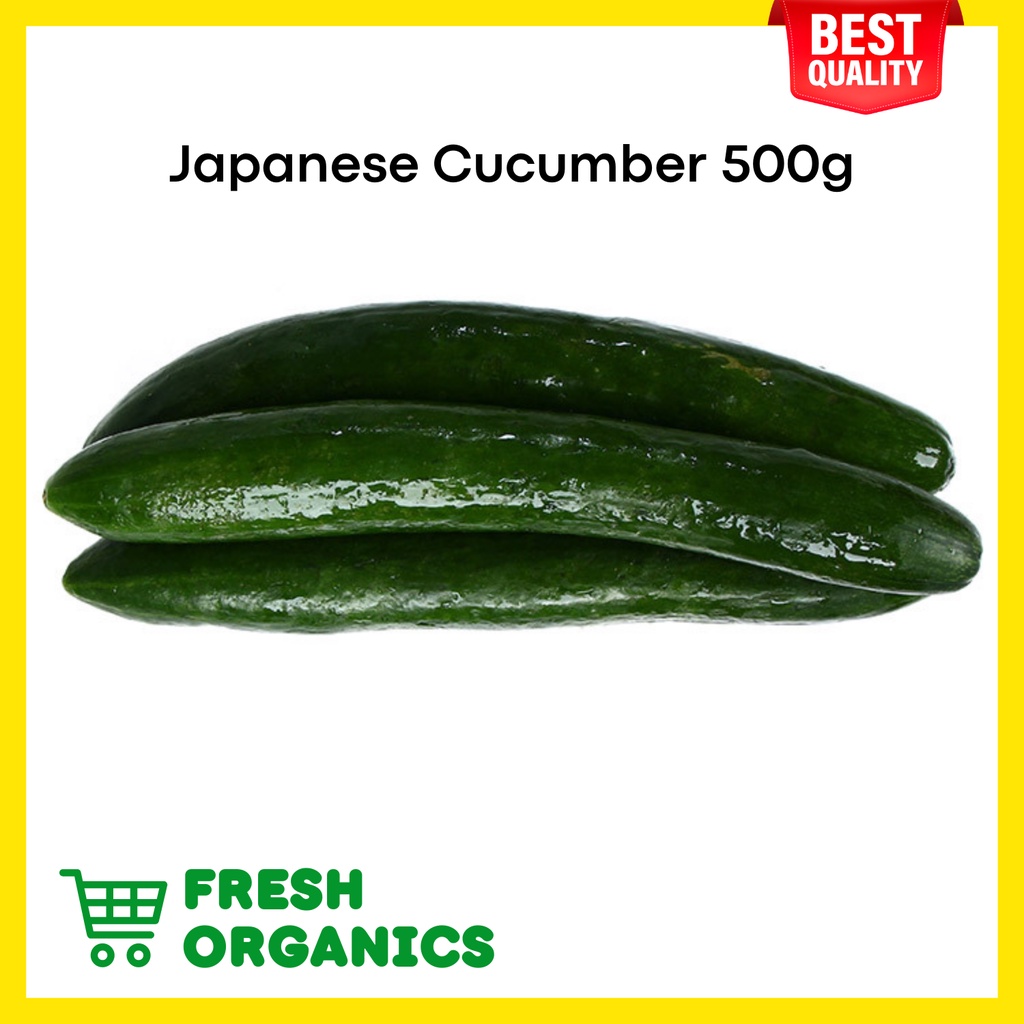FRESH ORGANICS Japanese Cucumber 500g | Shopee Philippines