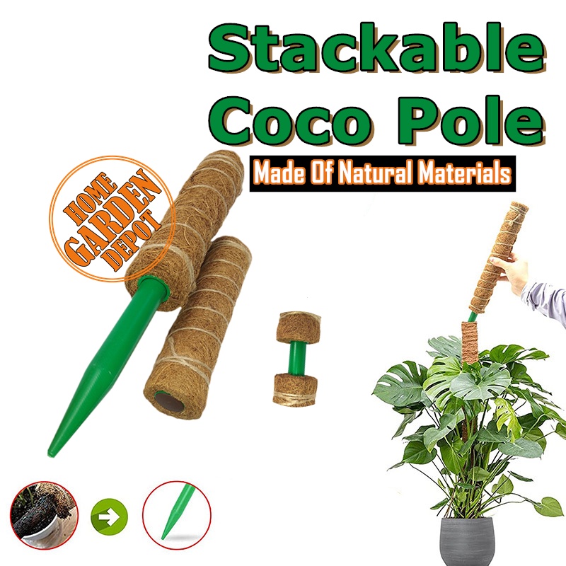 Premium Coco Fiber Pole Plant Pole Stackable of Plant Support 32cm ...
