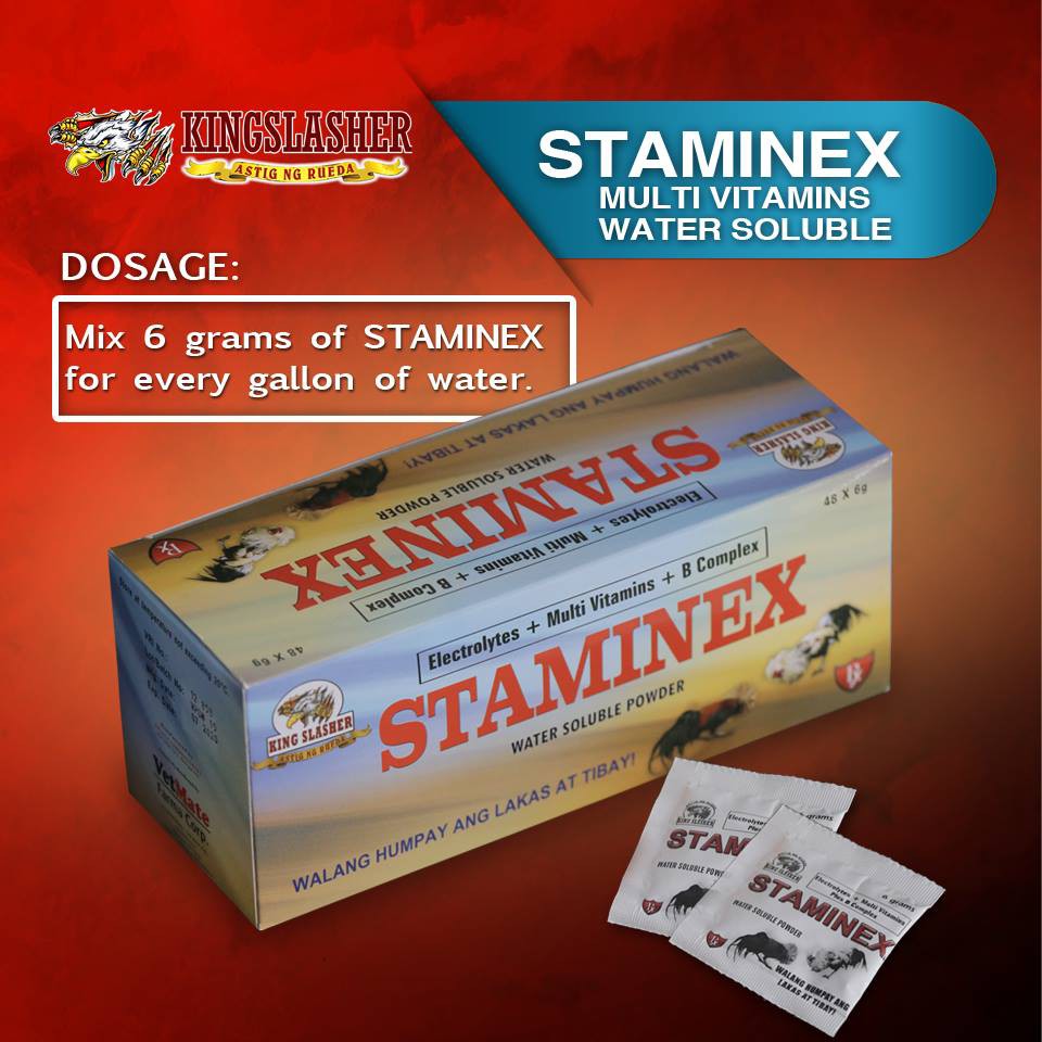King Slasher Staminex 6g x 48 sachet Electrolytes + Multi Vitamins + B ...