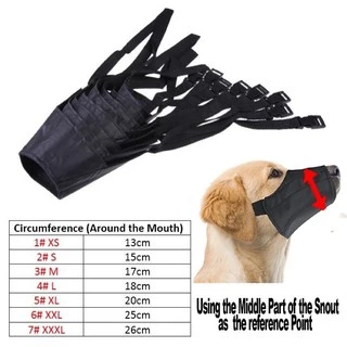 busal - Best Prices and Online Promos - Mar 2026 | Shopee Philippines