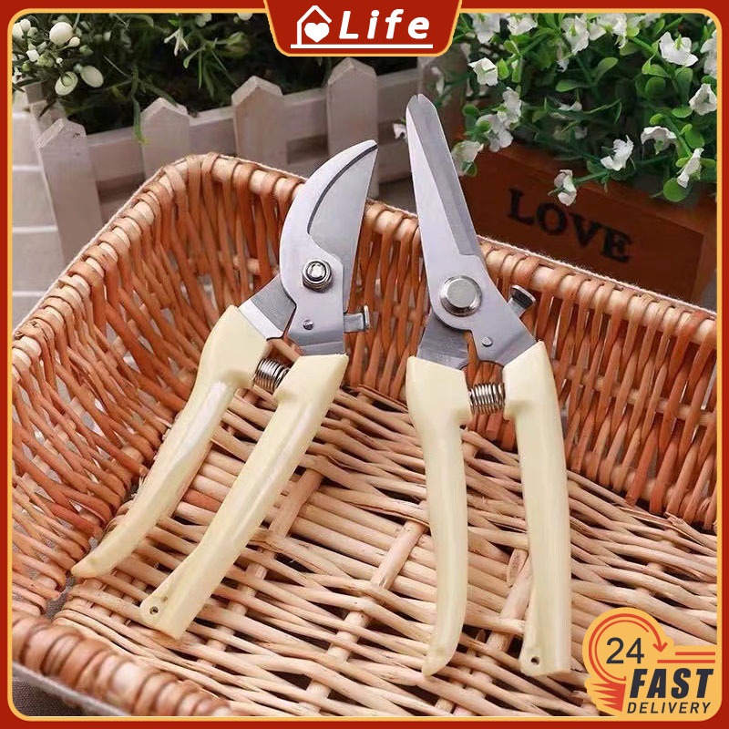 Stainless Steel Garden Pruning Fruit Branch Shears Gardening Plant ...