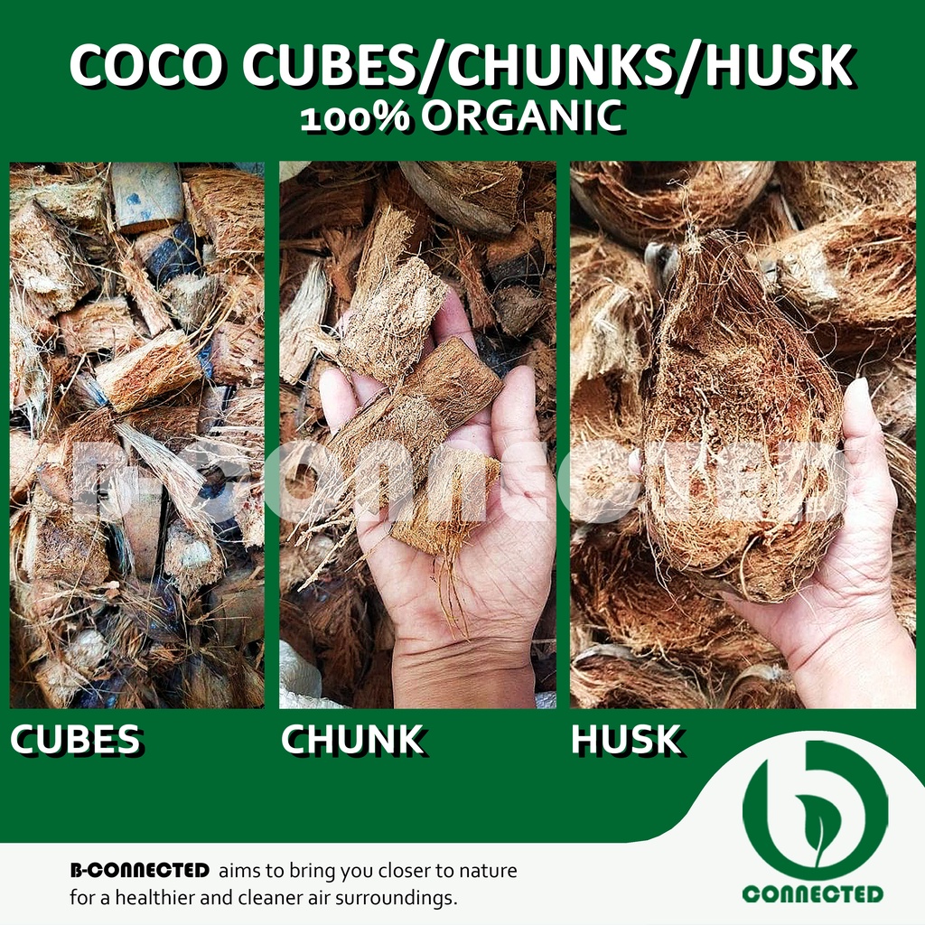 COCO CUBES CHUNK HUSK FOR AROIDS PHILODENDRON ORCHIDS PLANTS - GARDEN ...