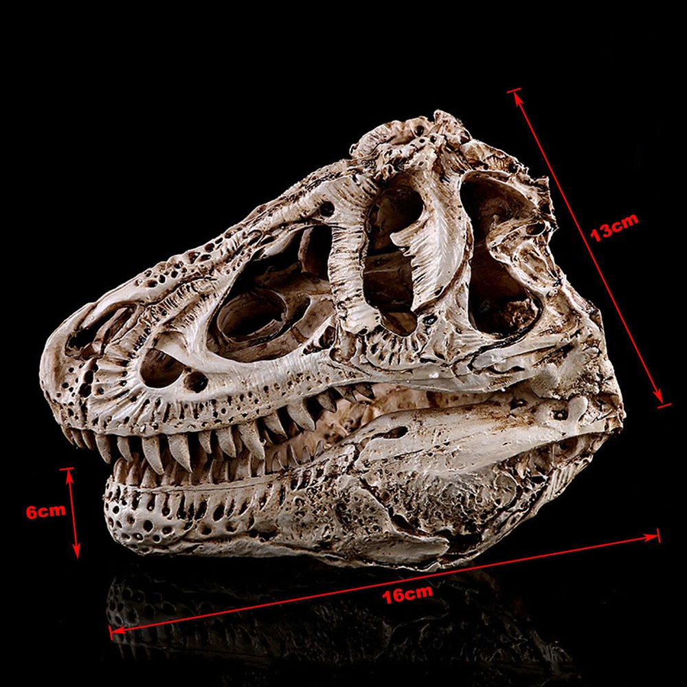 1pc New Tyrannosaurus T-Rex Resin Dinosaur Skull Replica Fossil ...