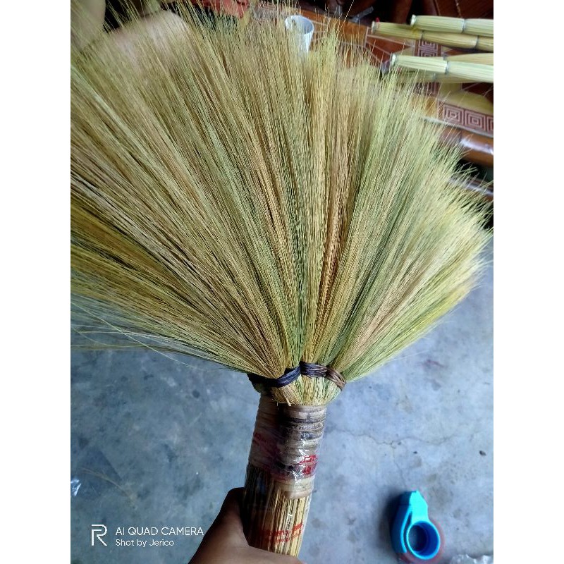 Walis Tambo Soft Broom (Six fingers) from Ilocos | Shopee Philippines