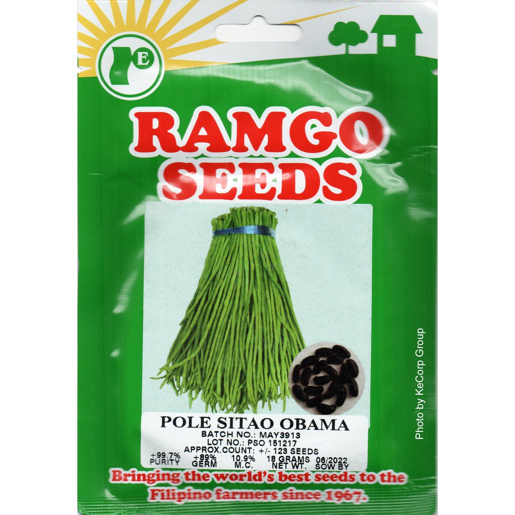 Ramgo Seeds - Sold per Pack per Variety Pechay Parsley Italian Squash ...
