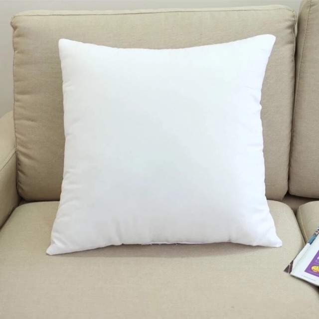 FUNNY HOME Vacuum Throw pillow / inner pillow/ cushion 18x18inches ...