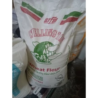 Shop wellington flour for Sale on Shopee Philippines