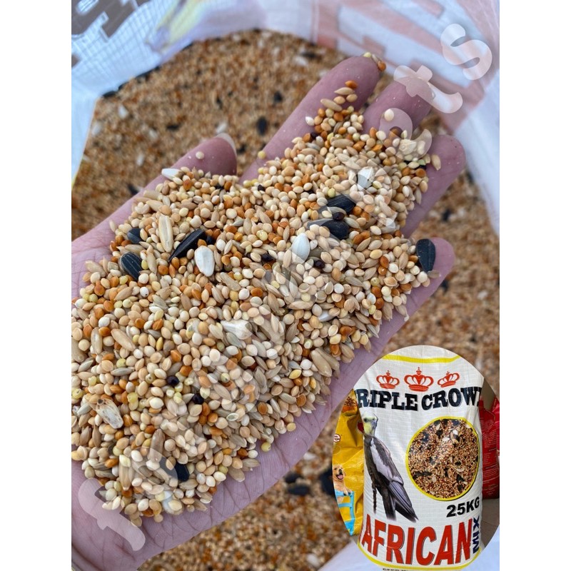 African Bird Seed Mix for small to medium-sized birds - 300G, 1/2KG ...