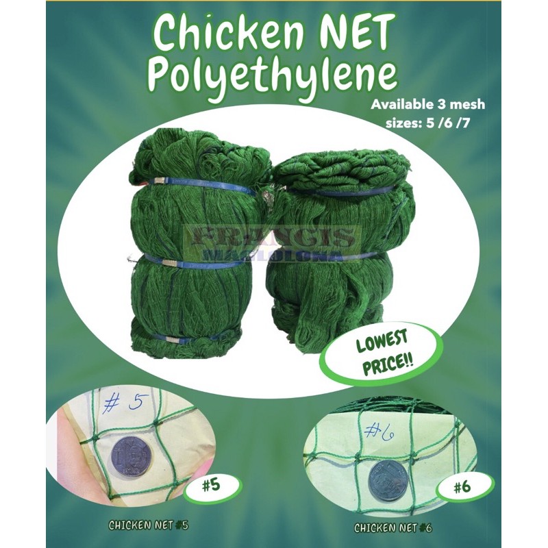45meters (50 eye/mesh) Chicken Net / Polyethylene Net / Range Net(Green ...