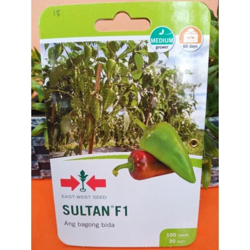 Sultan F1 Pepper East-West Seed (100 Seeds) | Shopee Philippines