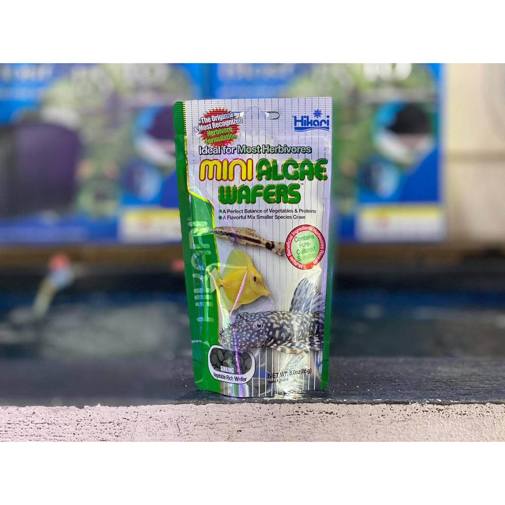 Hikari Mini Algae Wafers 85g | Shopee Philippines