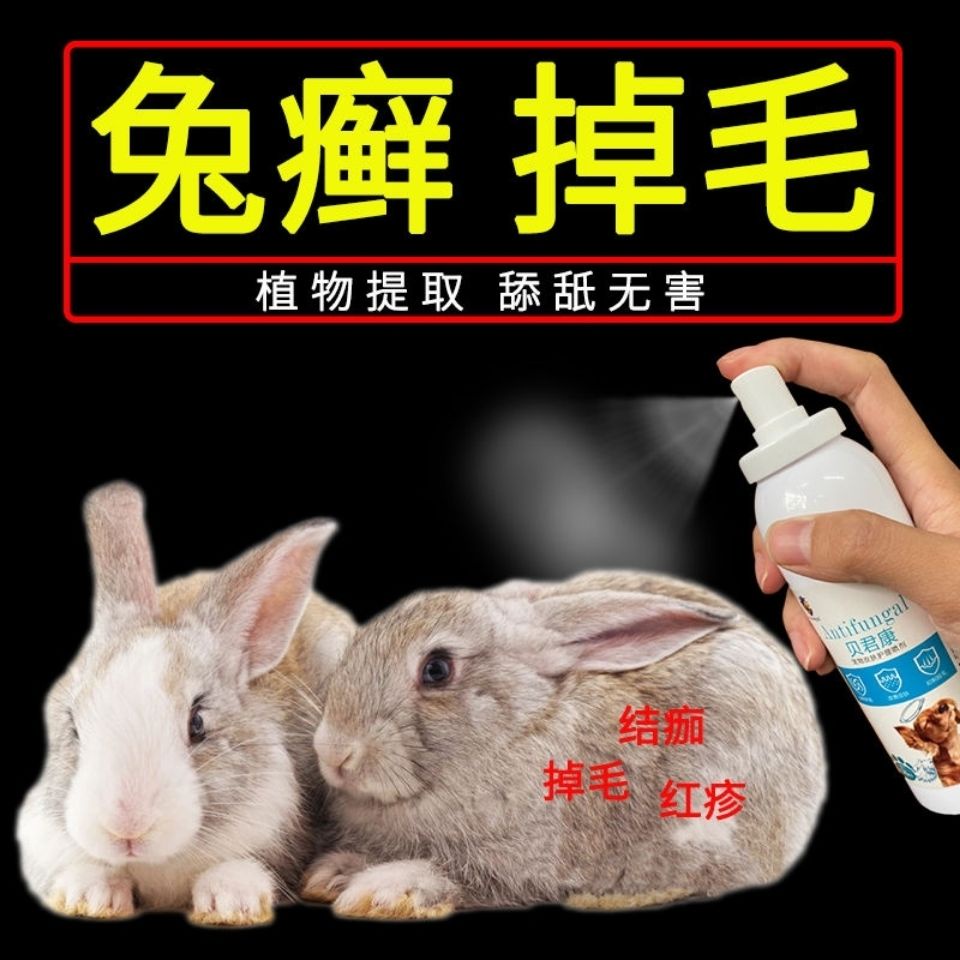 Rabbit Skin Disease Dedicated Medicine Pilling Fungus Mites Hair Loss ...