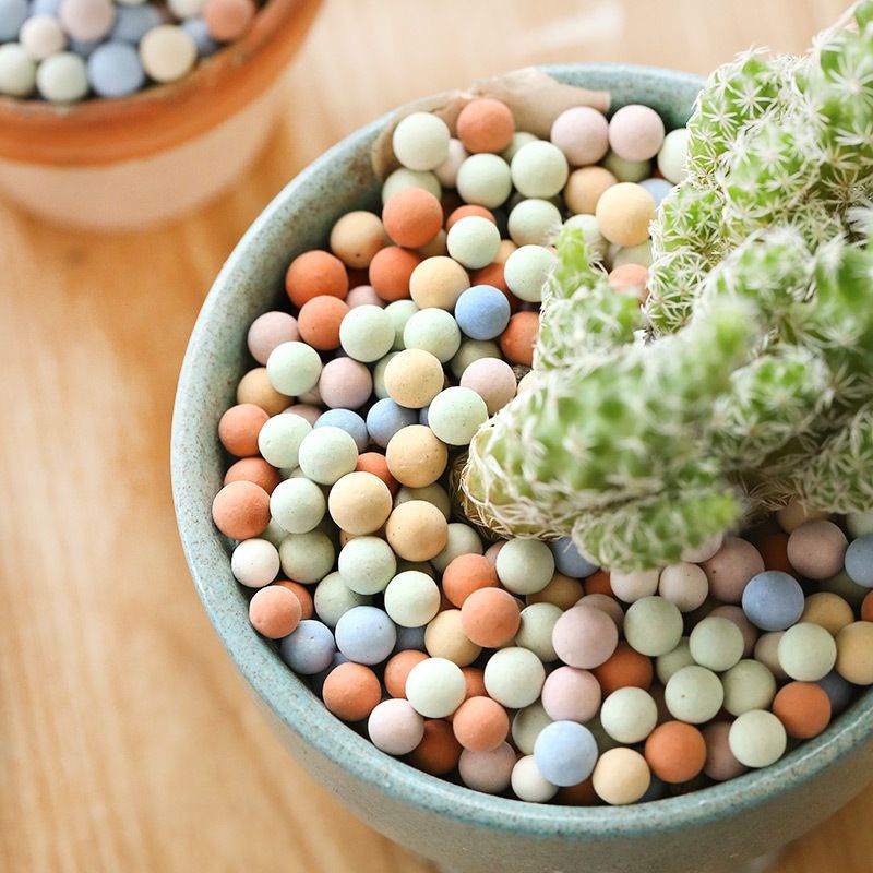 Hydroton clay pebbles/Leca balls(500gram) | Shopee Philippines