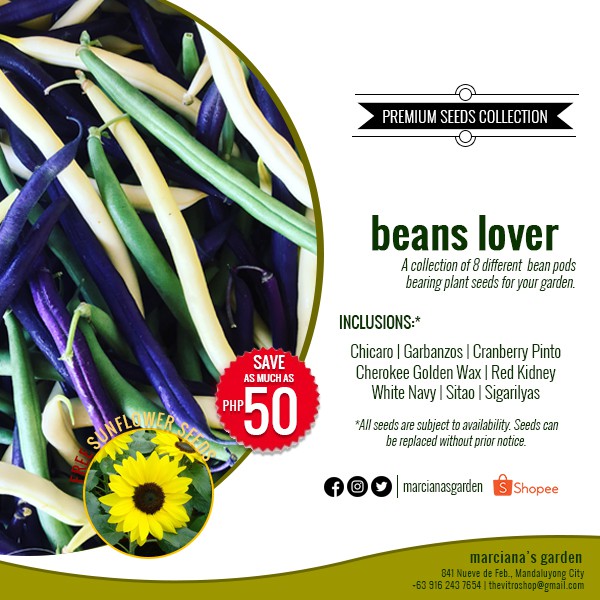Bean Lovers Seeds Collection - Garden Beans Seeds Collection - Bean ...