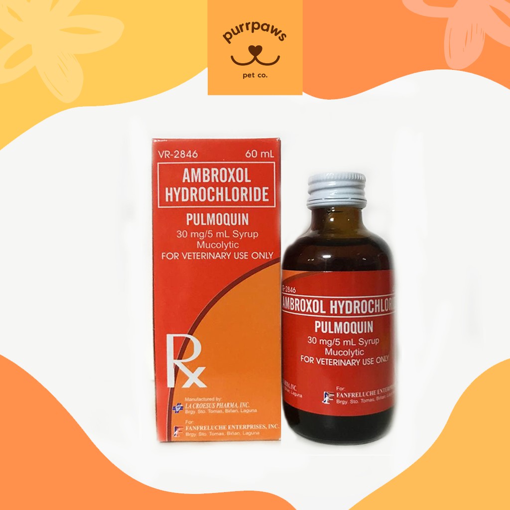 Pulmoquin Pet Respiratory Syrup 60mL (December 2024 Expiry) | Shopee ...