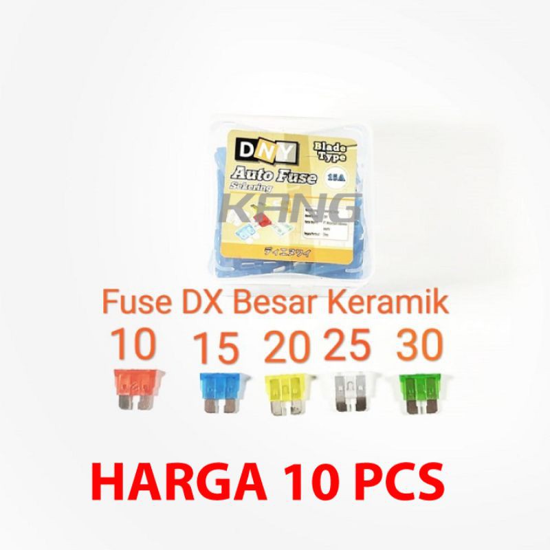 Dx Fuse Large Standard Plug-in Fuse | Shopee Philippines