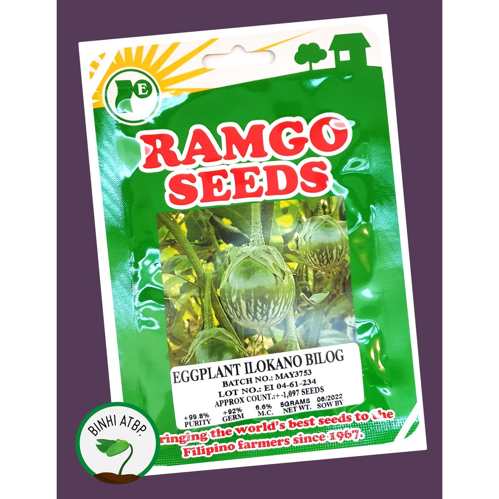 Ramgo Eggplant Ilokano Bilog Seeds | Shopee Philippines
