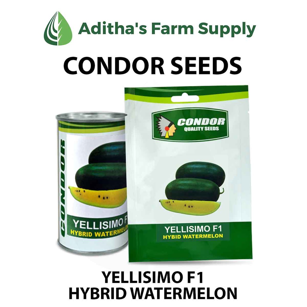 Condor Seeds: Yellisimo F1 (Hybrid Watermelon/Pakwan) | Shopee Philippines