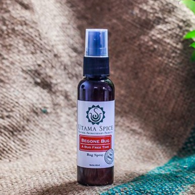 Main Spice Begone Bug Spray 60ml | Shopee Philippines