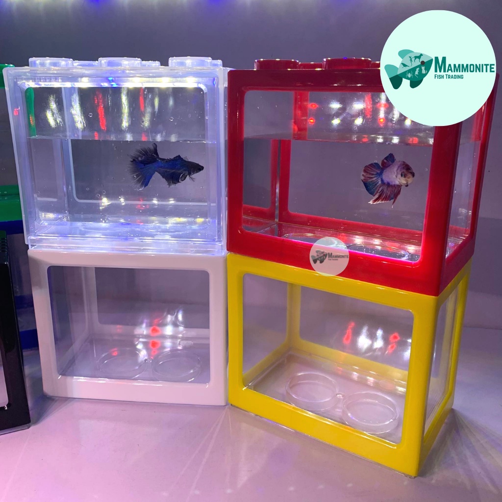 Aquarium Mini Betta Tank Stackable Colorful Clear Container | Shopee ...