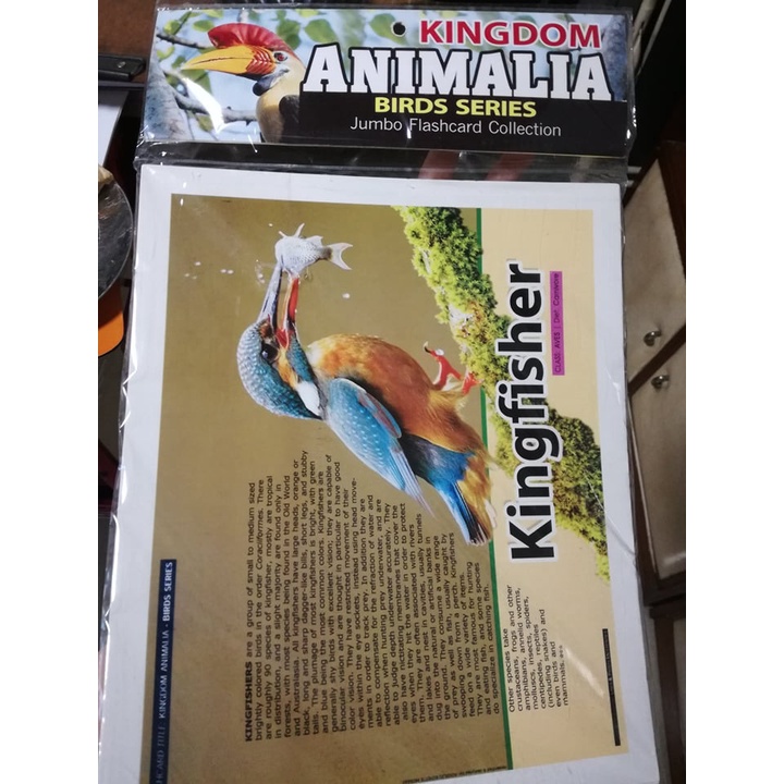 Kingdom Animalia Birds Series FLASHCARDS (Jumbo) | Shopee Philippines
