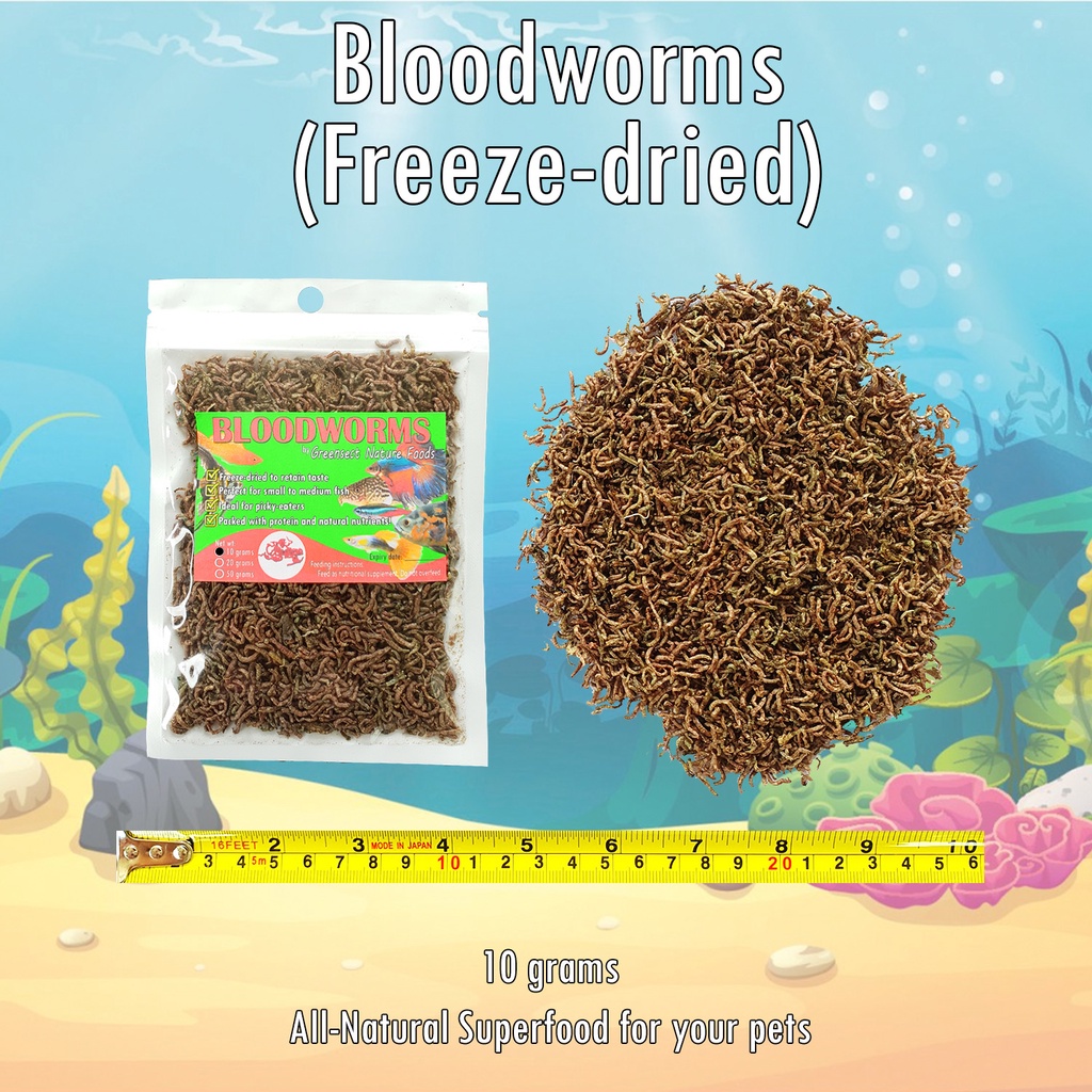 BLOODWORM (DIRECT SUPPLIER) Fish food Freeze-dried for guppy, betta ...
