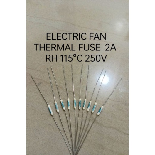 Electric fan thermal fuse 2a RH 115°C 250V | Shopee Philippines