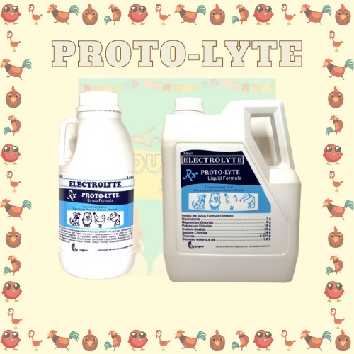 [SOUTH VET] Protolyte Electrolyte Tryco Syrup Formula Proto-Lyte Liquid ...
