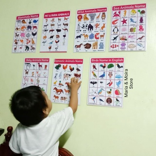 ANIMALS Educational Laminated Wall Chart | A4 Size | Animals Chart ...
