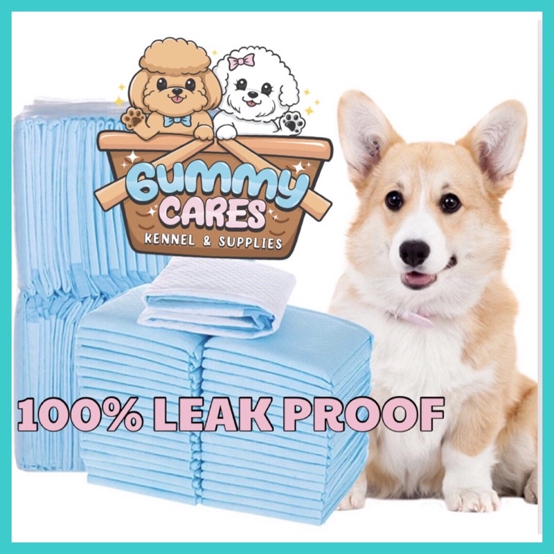 Pet Pee Pad Dog Pee Training Pad Cat Pee Pad Pet Wee Pee Poop Training ...