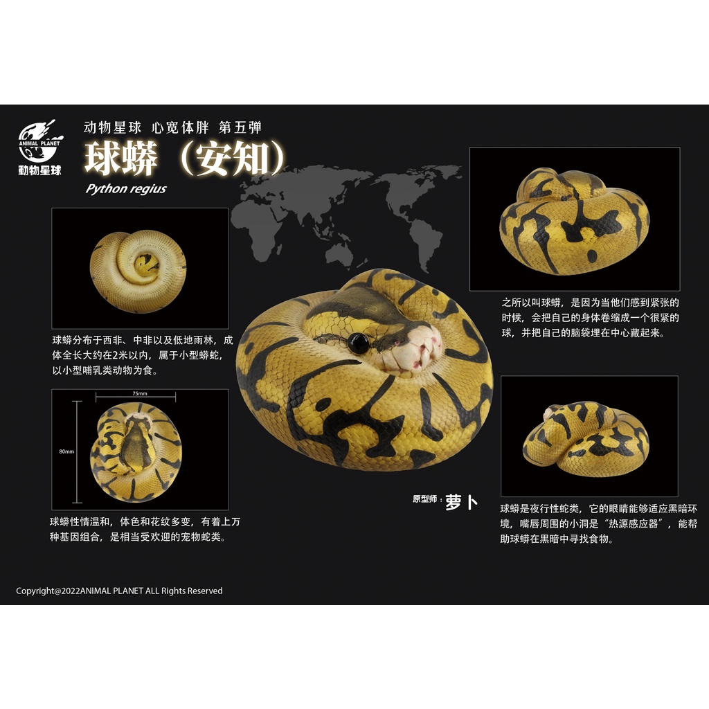 Animal Planet Heart Wide Body Fat Snake Chapter Plus Fluffy Viper Ball ...