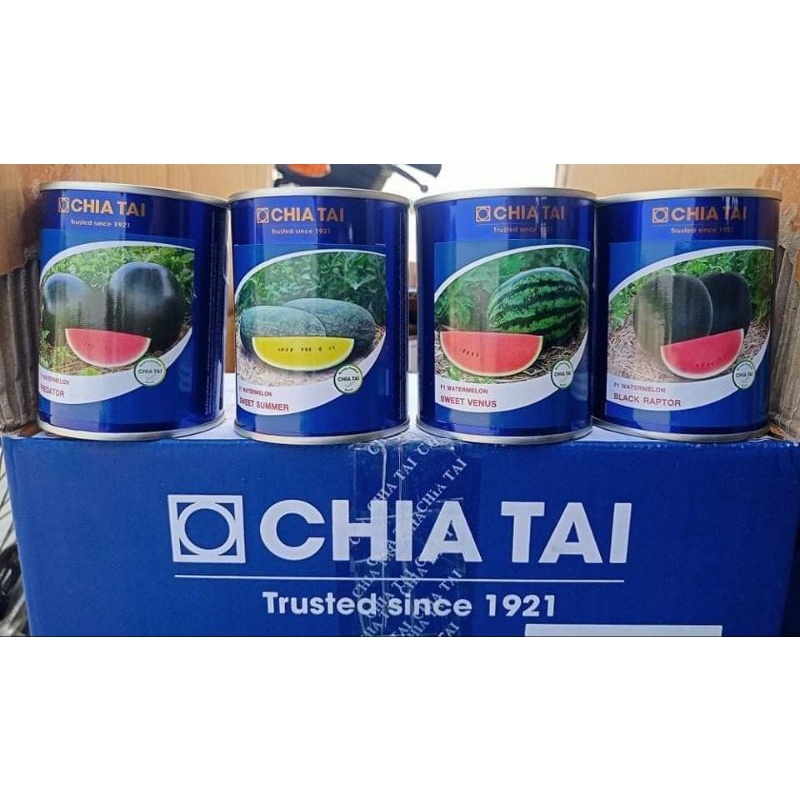 CHIA TAI HYBRID WATERMELON SEEDS (VENUS TIGER SUMMER GRANDE RAPTOR ...