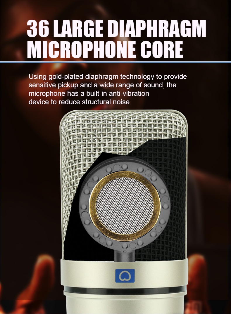RAYHAYES Condenser microphone for professional studio Singer/microphone ...