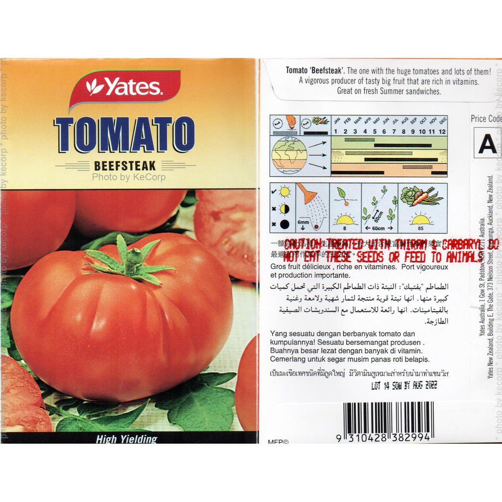Ramgo Condor Yates East West Tomato Seeds - Sold per Pack per Variety ...