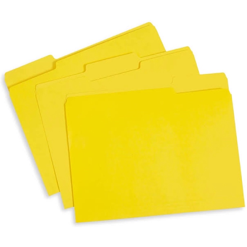 Yellow Folder and Paper Organizer with Freebies (Insurance Clients Only ...
