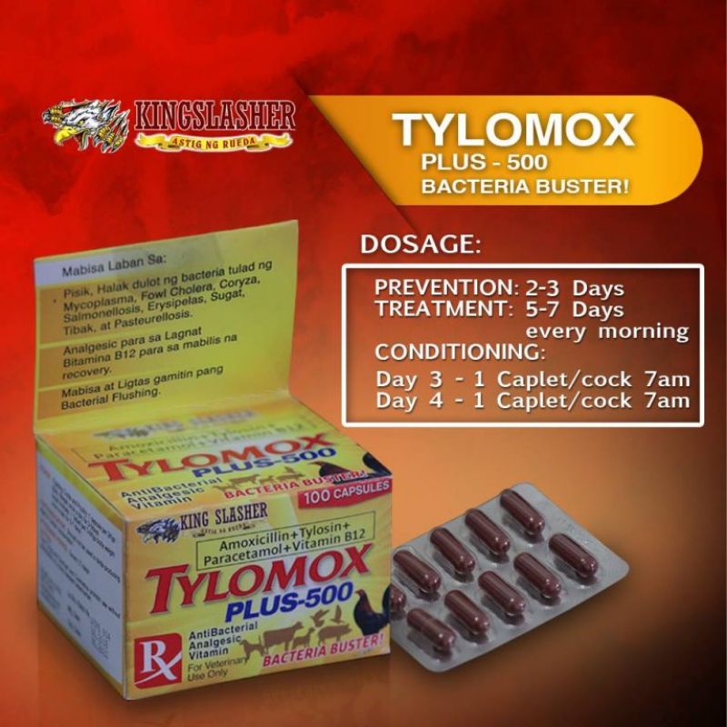 Tylomox Plus (per capsule) | Shopee Philippines