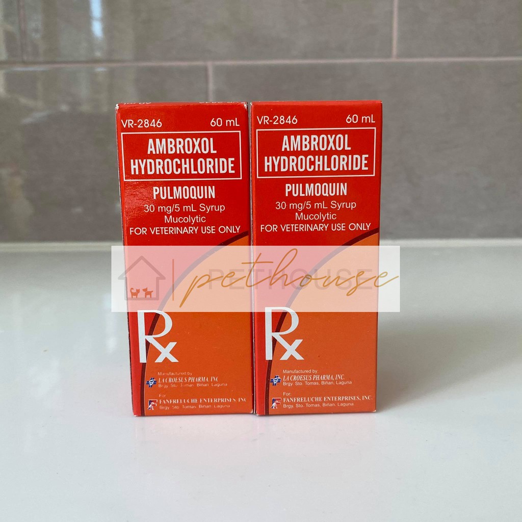 Pulmoquin Syrup (60mL/per bot) | Shopee Philippines