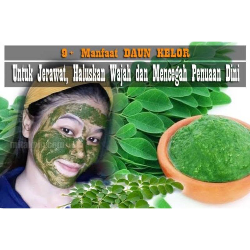 Anti AGING MORINGA LEAF MASK OVERCOMING ACNE (ECER) | Shopee Philippines