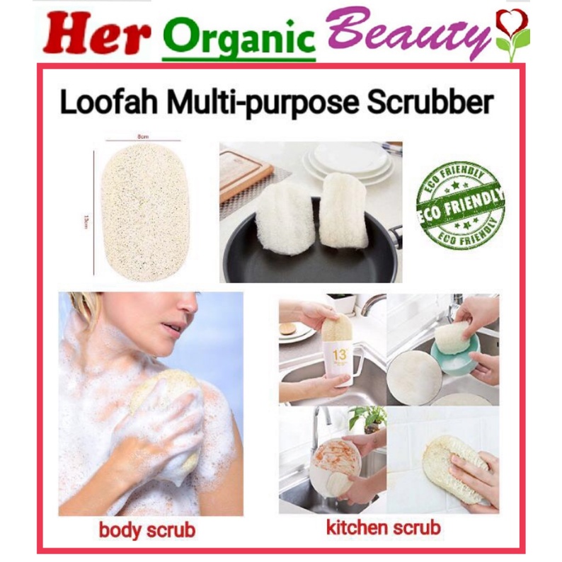 Loofah Multipurpose Scrubber (Kitchen Sponge & Body Scrub). APL Glove ...