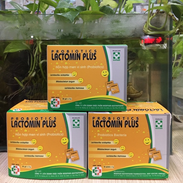 Lactomin plus digestive enzyme box of 30 packs | Shopee Philippines