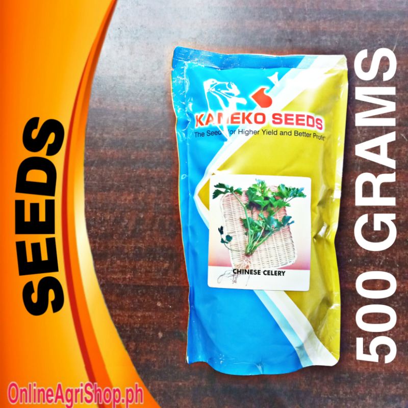 CHINESE CELERY / KINCHAY SEEDS (500 GRAMS) BY KANEKO SEEDS | Shopee ...