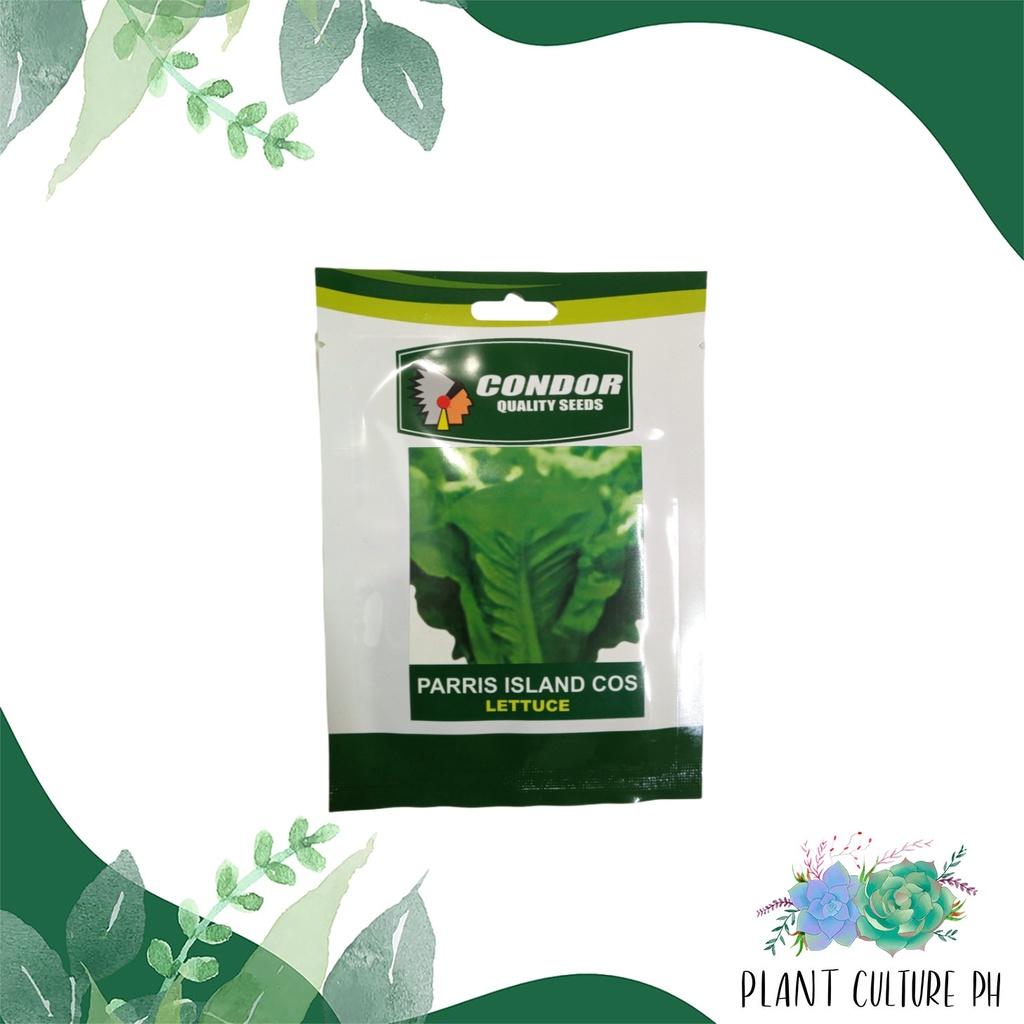 Condor Seeds Lettuce Varieties (Romaine, Iceberge, Green Wave, Lollo ...