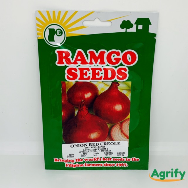 Onion Red Creole Seeds 300 seeds Sibuyas Binhi | Shopee Philippines