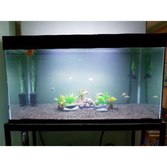 Brand new aquarium fish tank 50 gallons gals w/ sand | Shopee Philippines