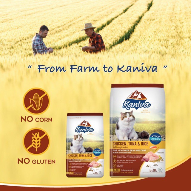 Kaniva cat food 1.5kg Caniva Chicken Formula Tuna And Rice Exp.2025 ...