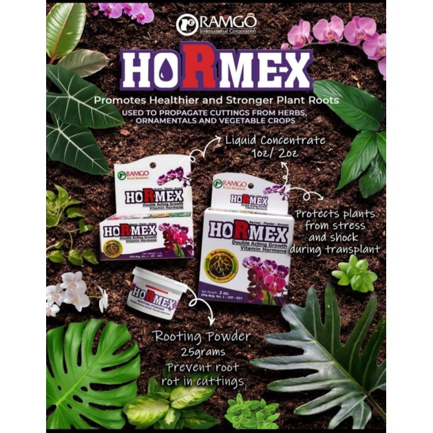 Ramgo HORMEX Liquid Rooting Stimulant (Pampa-ugat) with Vitamin Hormone ...