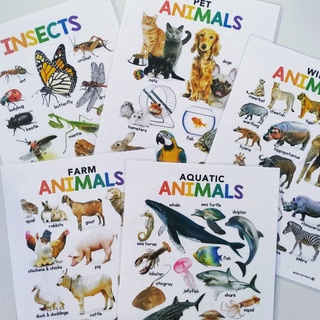 Farm Animals Educational Chart Poster (High Quality Print / A4 Size ...