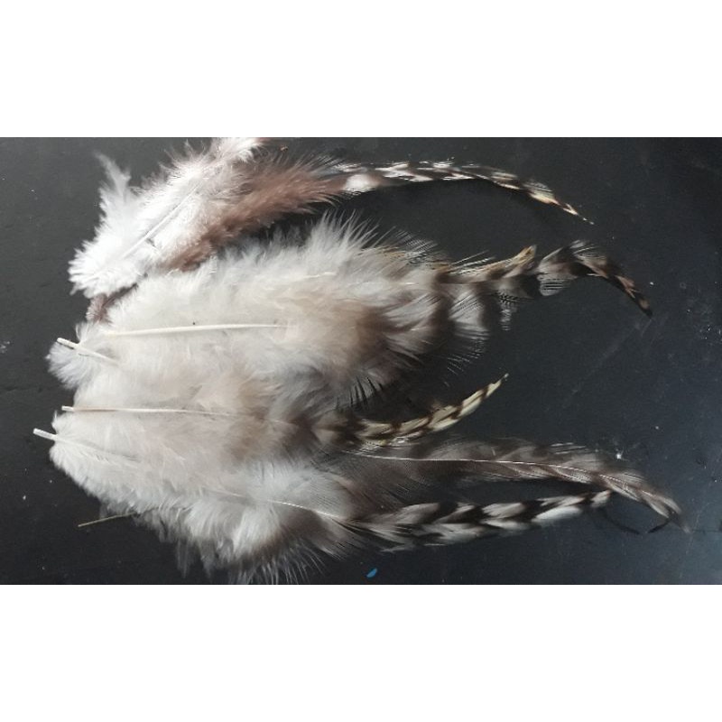 Batik feather Balahibo for DIY fly tying 10pcs | Shopee Philippines